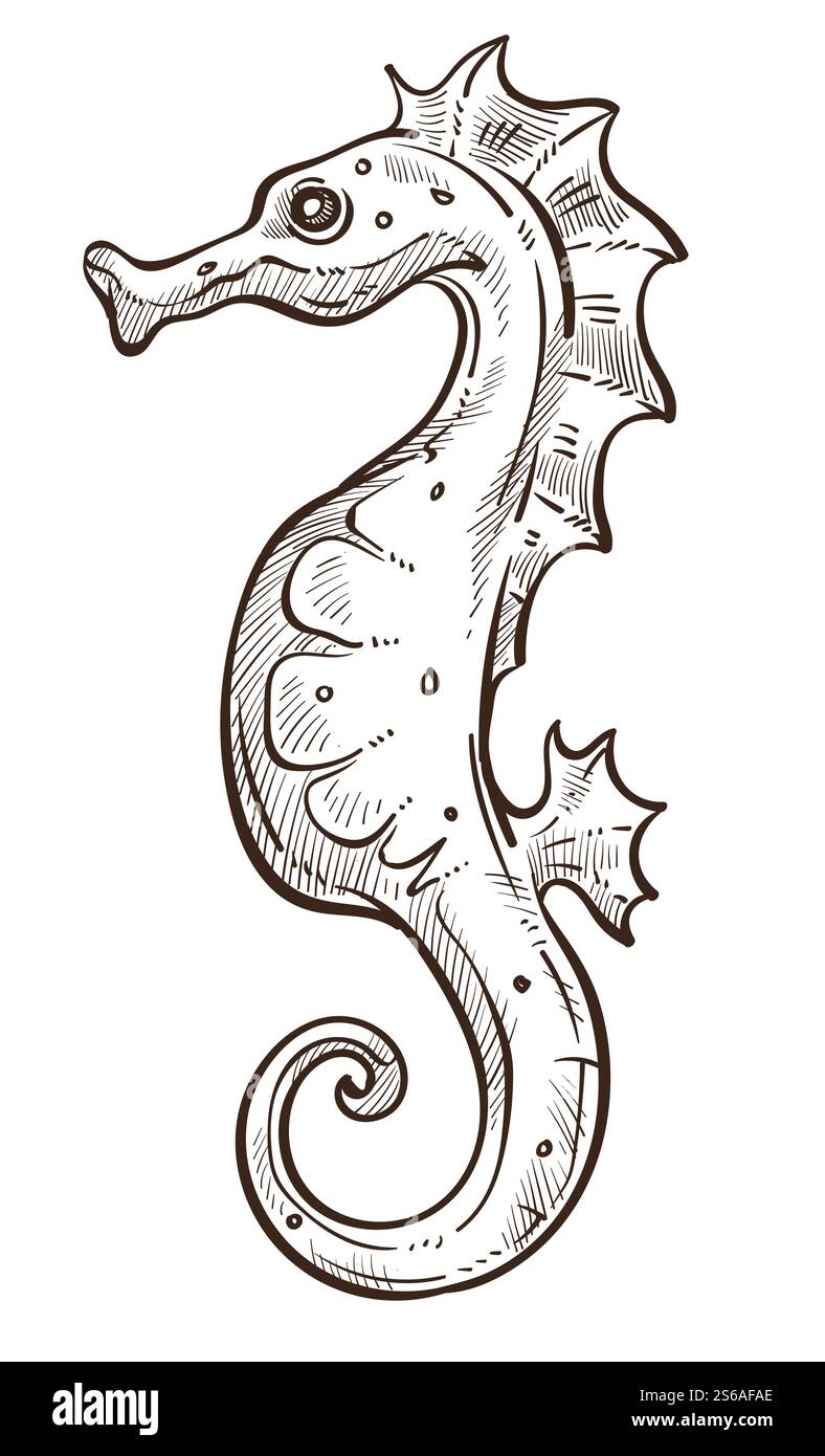 Seahorse drawing hi-res stock photography and images - Alamy