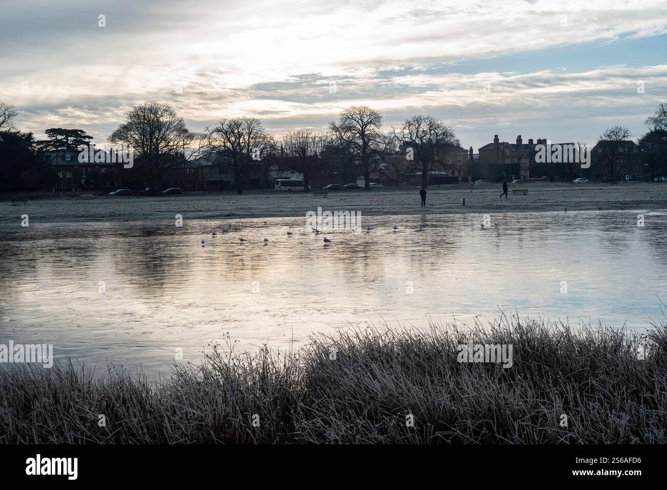 A frozen Rushmere Pond, during freezing temperatures on Wimbledon ...