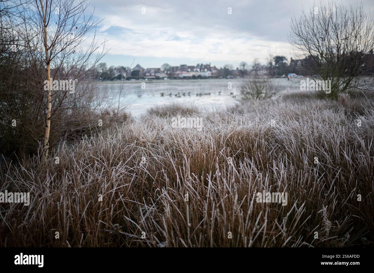 A frozen Rushmere Pond, during freezing temperatures on Wimbledon ...