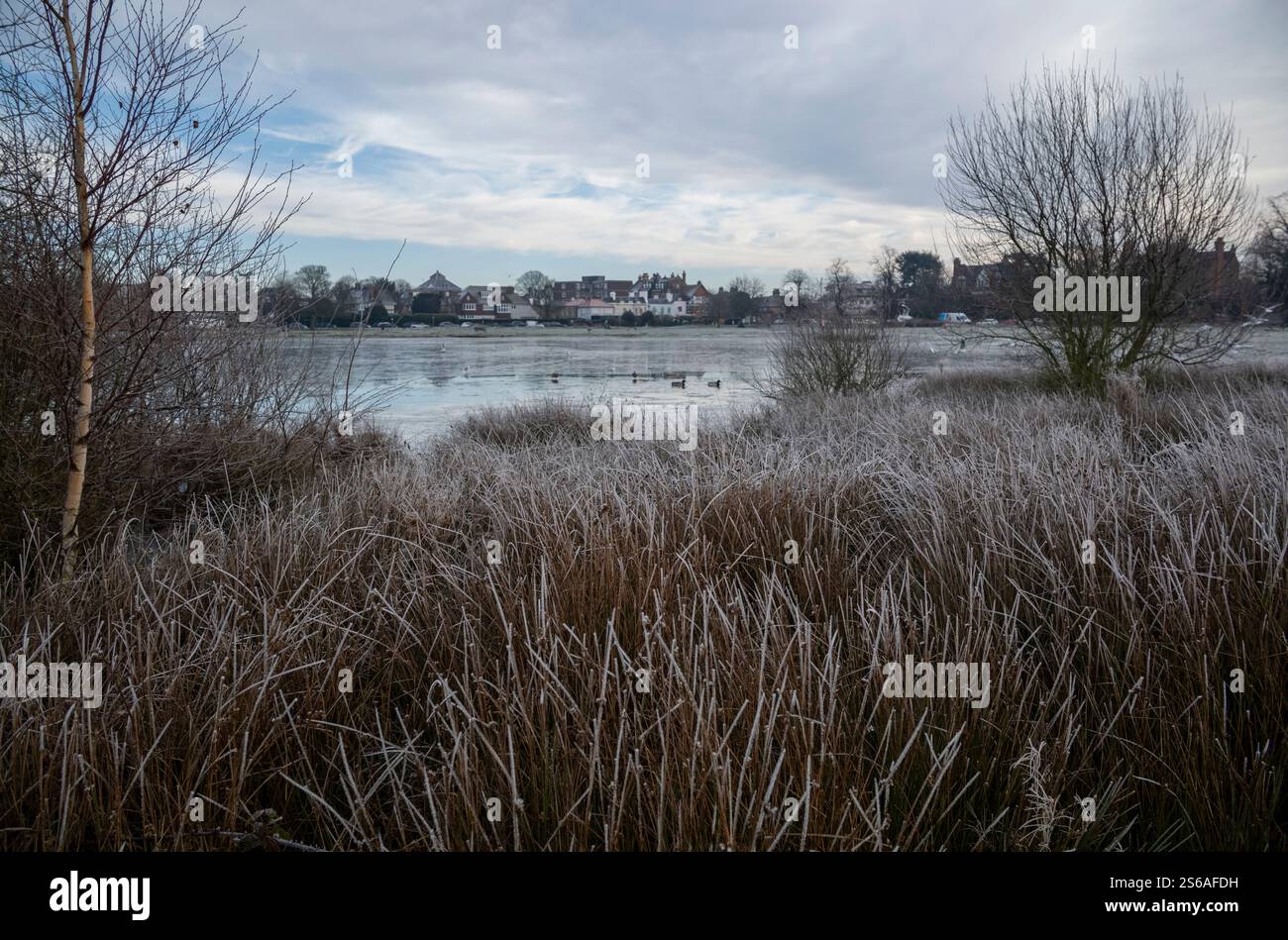 A frozen Rushmere Pond, during freezing temperatures on Wimbledon ...