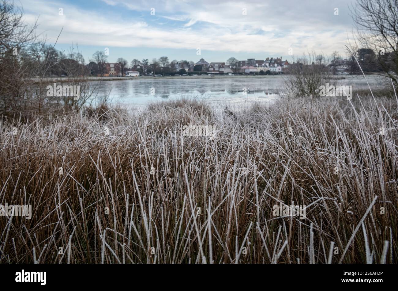 A frozen Rushmere Pond, during freezing temperatures on Wimbledon ...
