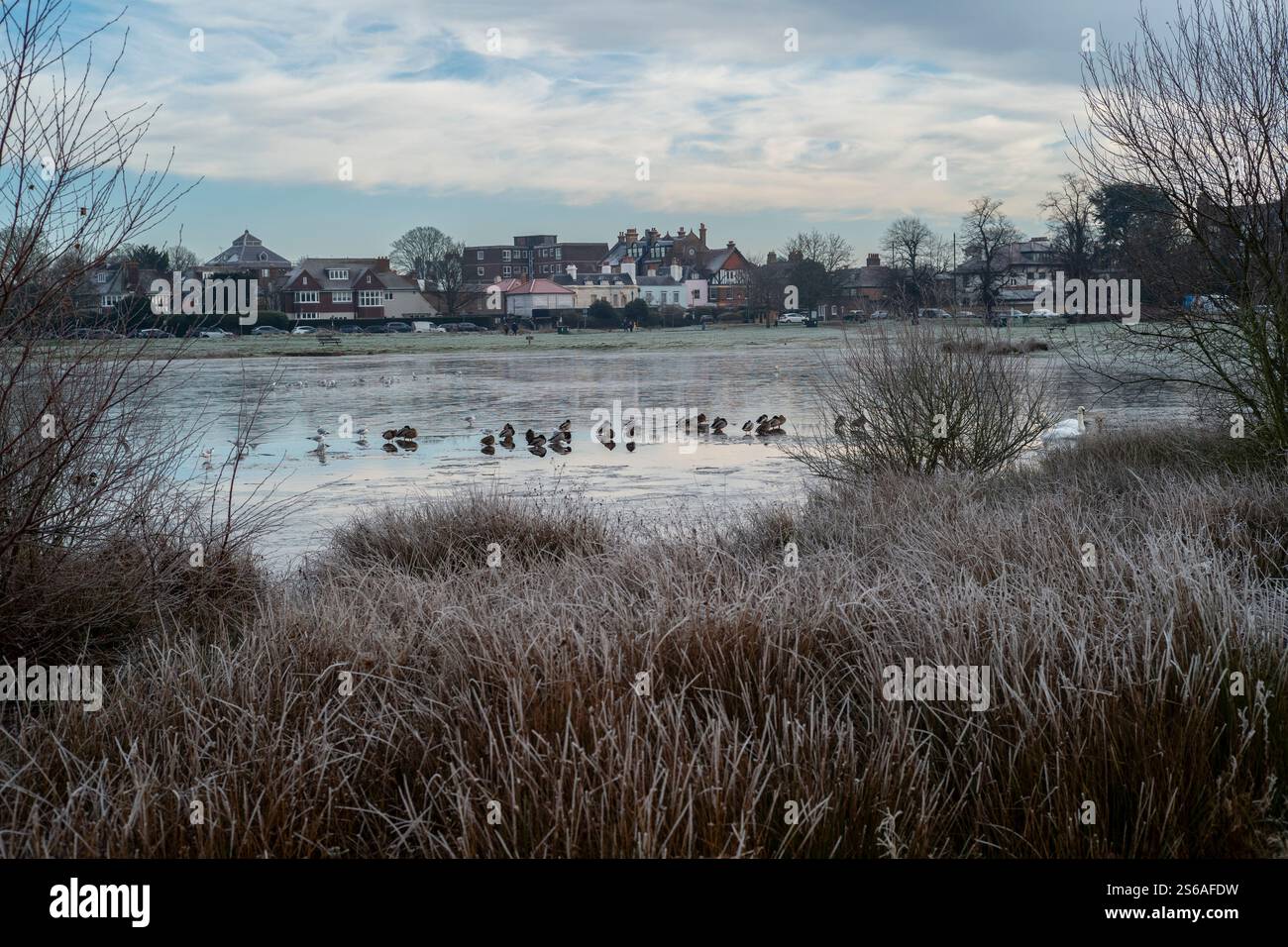 A frozen Rushmere Pond, during freezing temperatures on Wimbledon ...