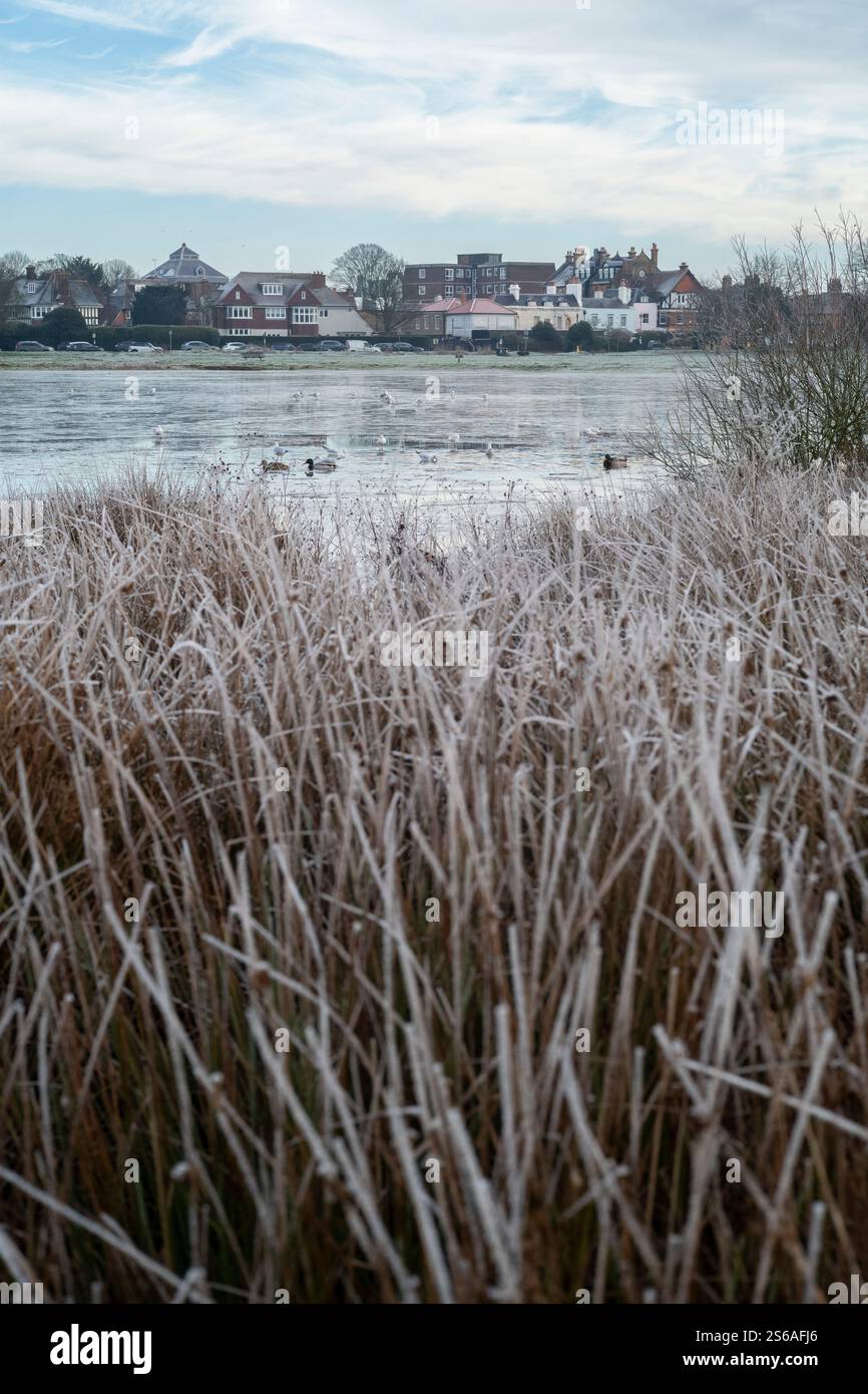 A frozen Rushmere Pond, during freezing temperatures on Wimbledon ...