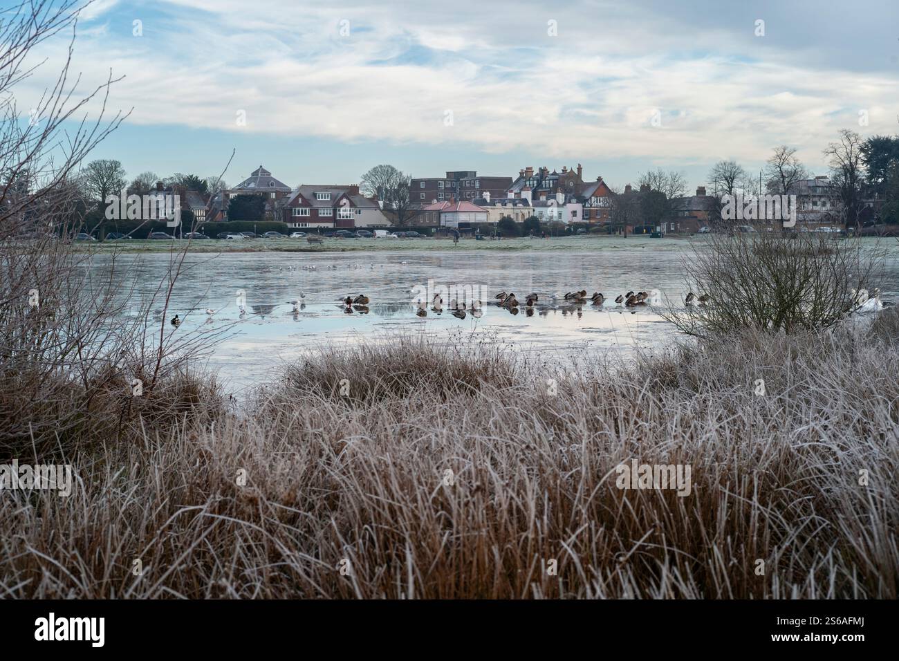 A frozen Rushmere Pond, during freezing temperatures on Wimbledon ...