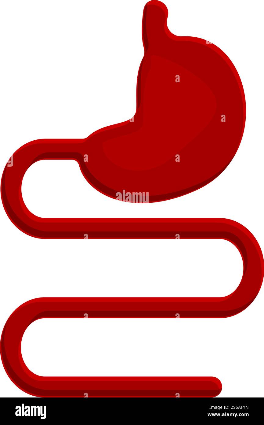 Stomach small intestine icon. Cartoon of stomach small intestine vector ...