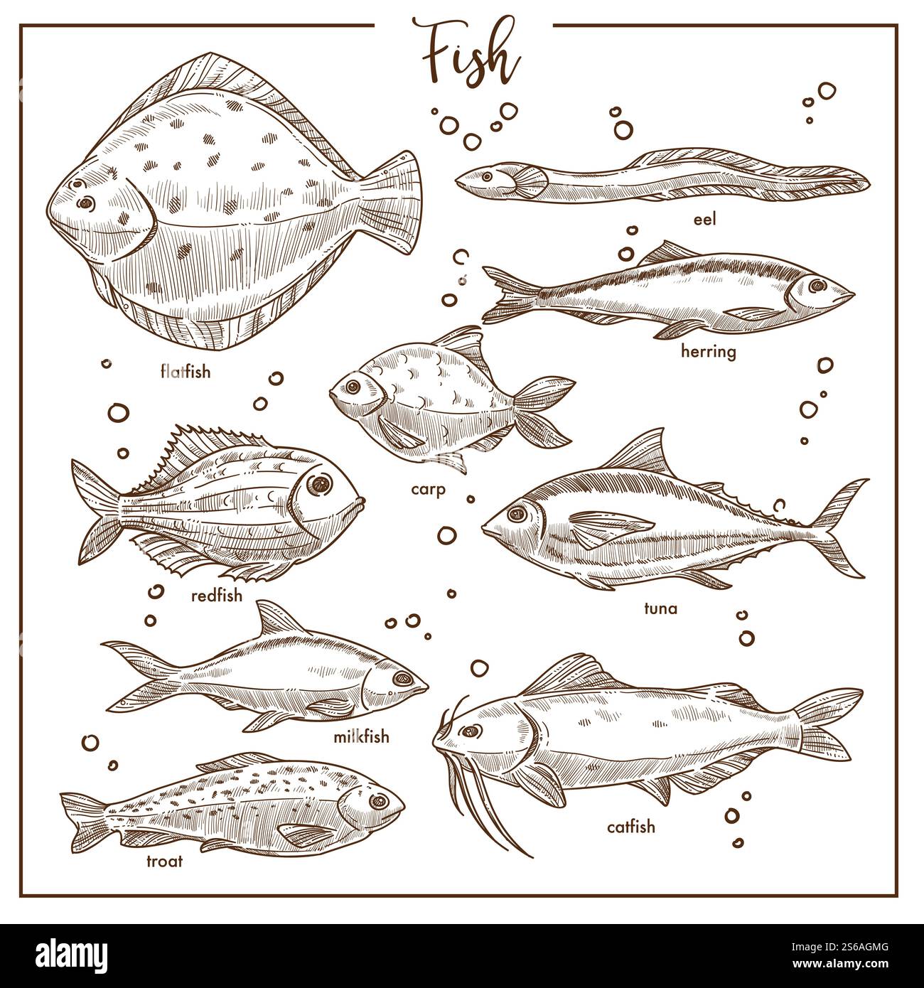 Seafood fish underwater animals species isolated sketches vector ...