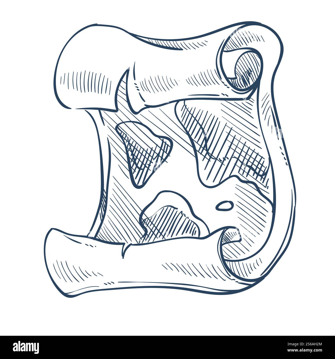 Ancient treasure map isolated marine navigation object vector paper ...
