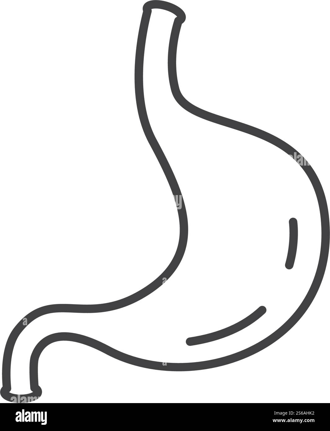 Stomach stock illustration vector design Stock Vector Image & Art - Alamy