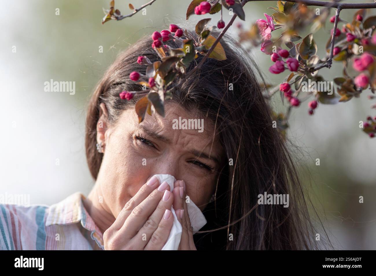 Young woman wiping nose with napkin in front of blooming tree. Spring allergy attack concept ...