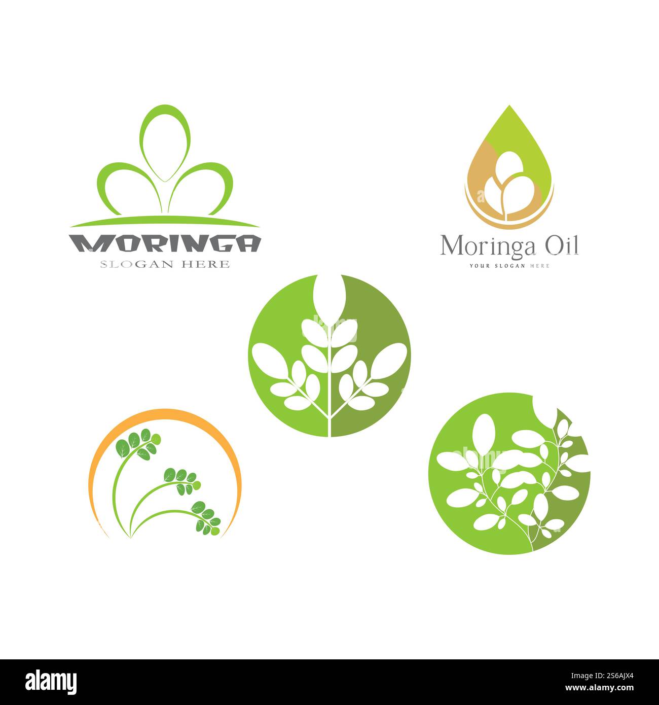 Set Moringa leaf Logo Template vector symbol nature Stock Vector Image ...