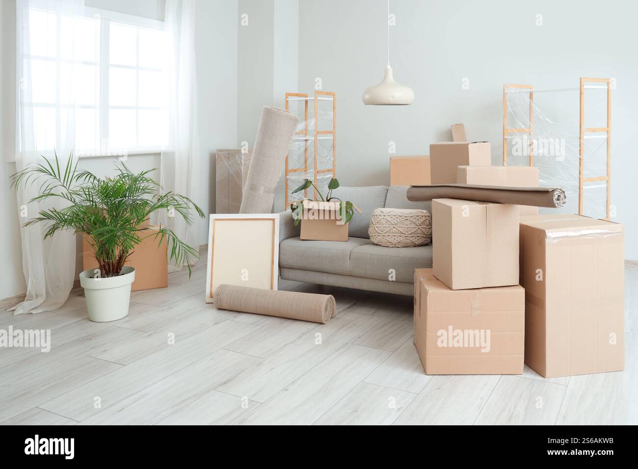 Interior of living room with cardboard boxes, grey sofa, rolled carpets ...