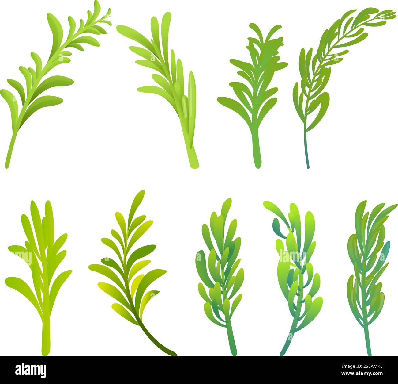 Rosemary icons set. Cartoon set of rosemary vector icons for web design ...