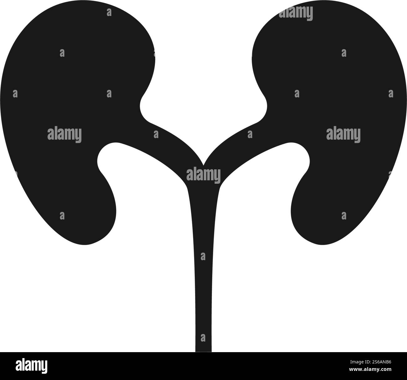 Kidney illustration icon vector design Stock Vector Image & Art - Alamy