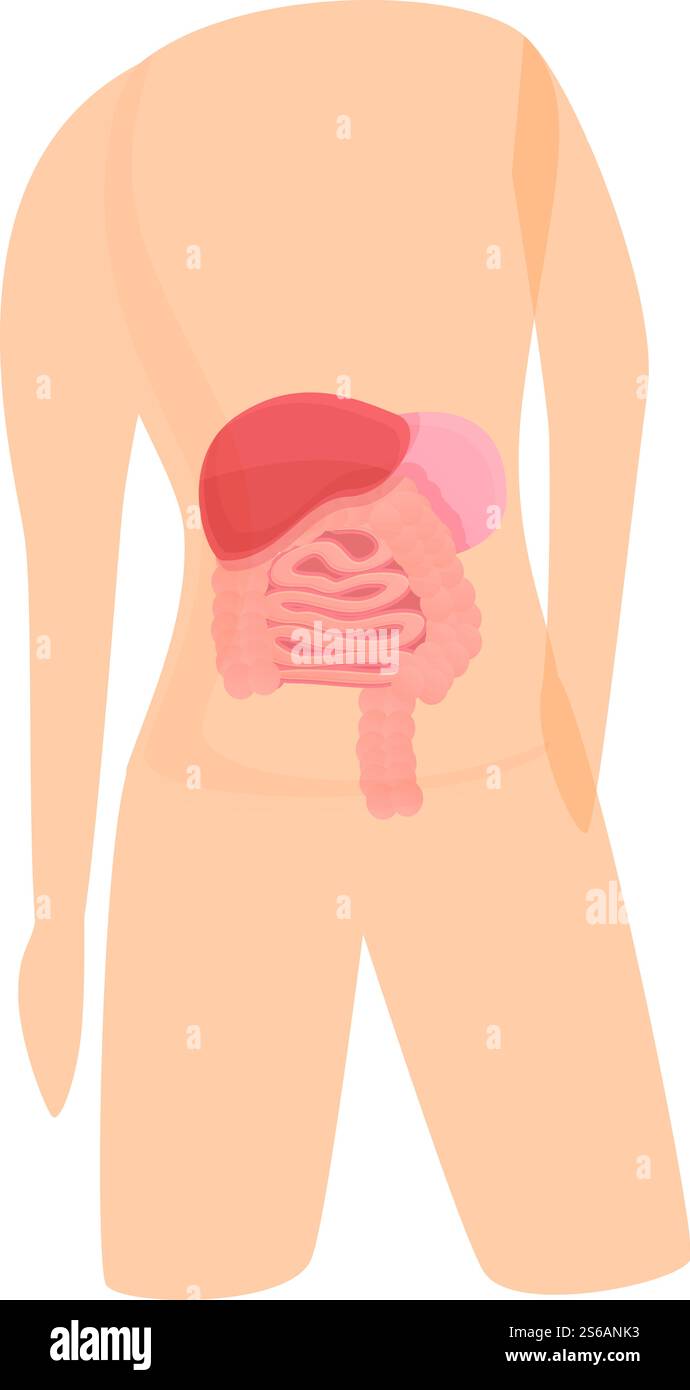 Healthy digestion system icon. Cartoon of healthy digestion system ...