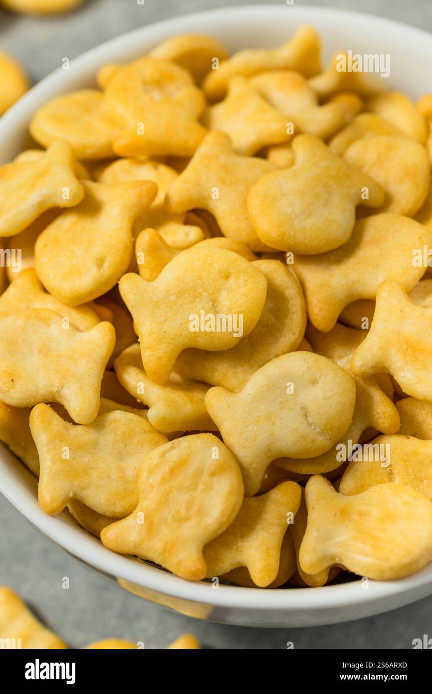 Healthy Kids Goldfish Crackers with Sea Salt Stock Photo - Alamy
