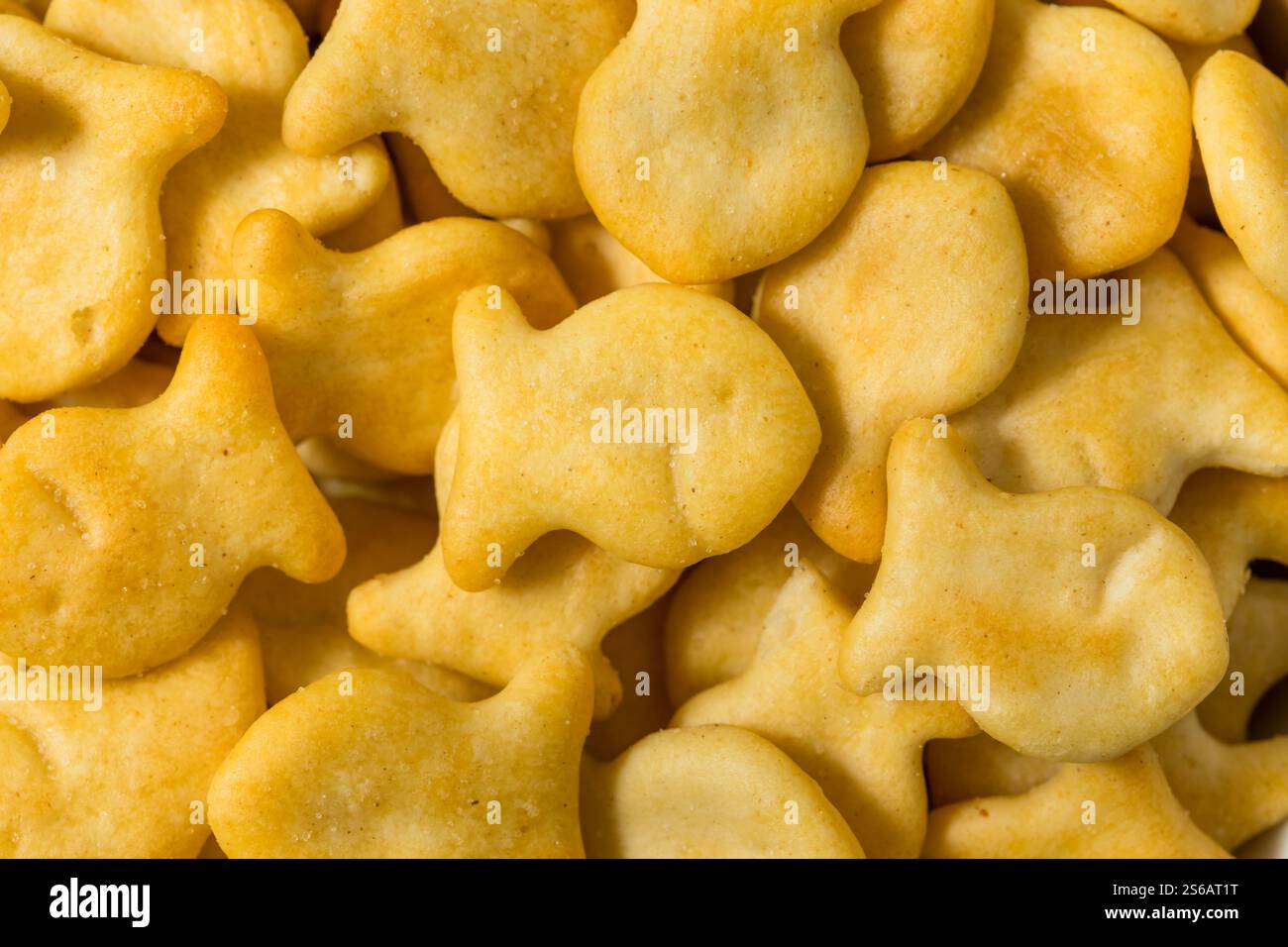 Healthy Kids Goldfish Crackers with Sea Salt Stock Photo - Alamy