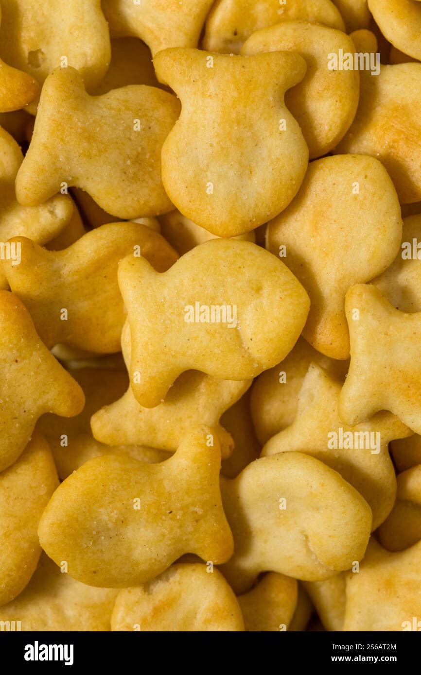 Healthy Kids Goldfish Crackers with Sea Salt Stock Photo - Alamy