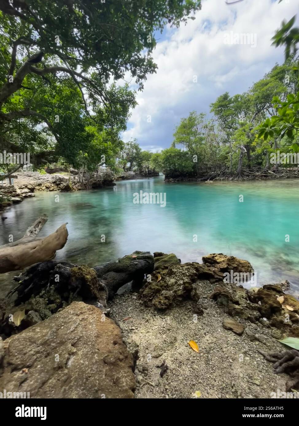 Life at the beach smartphone stock photos and images - Alamy