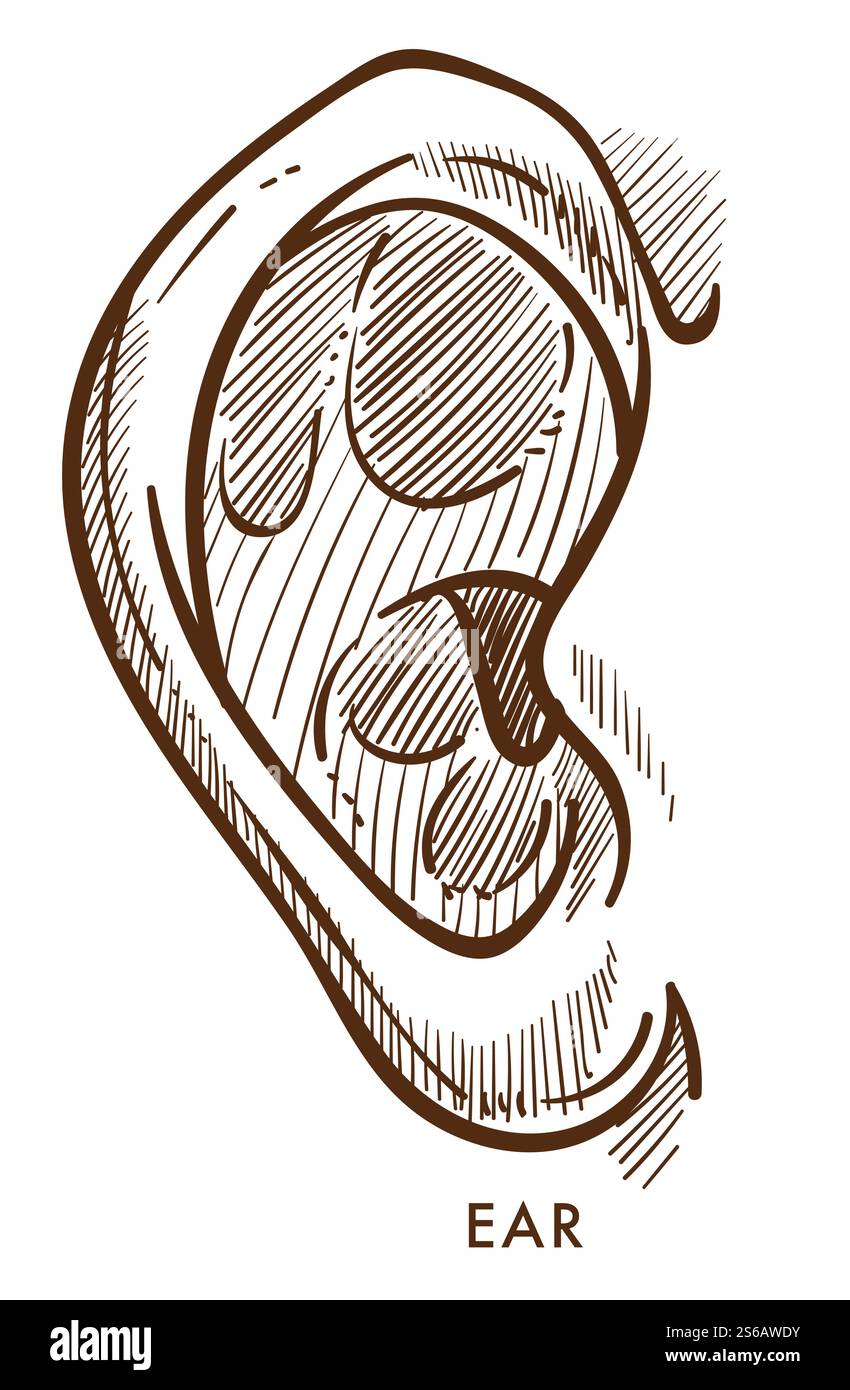 Body inspection Stock Vector Images - Alamy