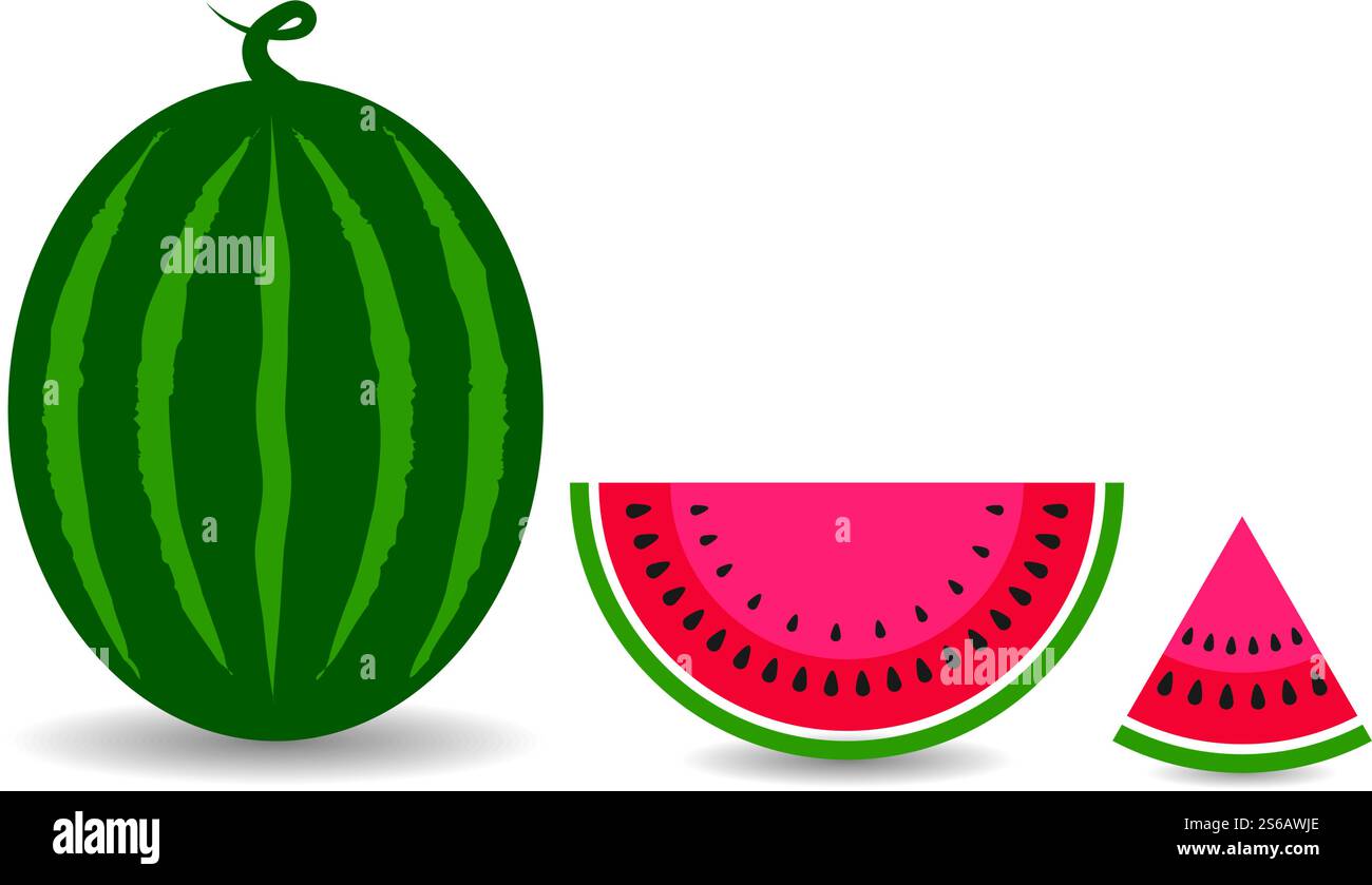 Watermelon stock Ilustration vector template Stock Vector Image & Art ...