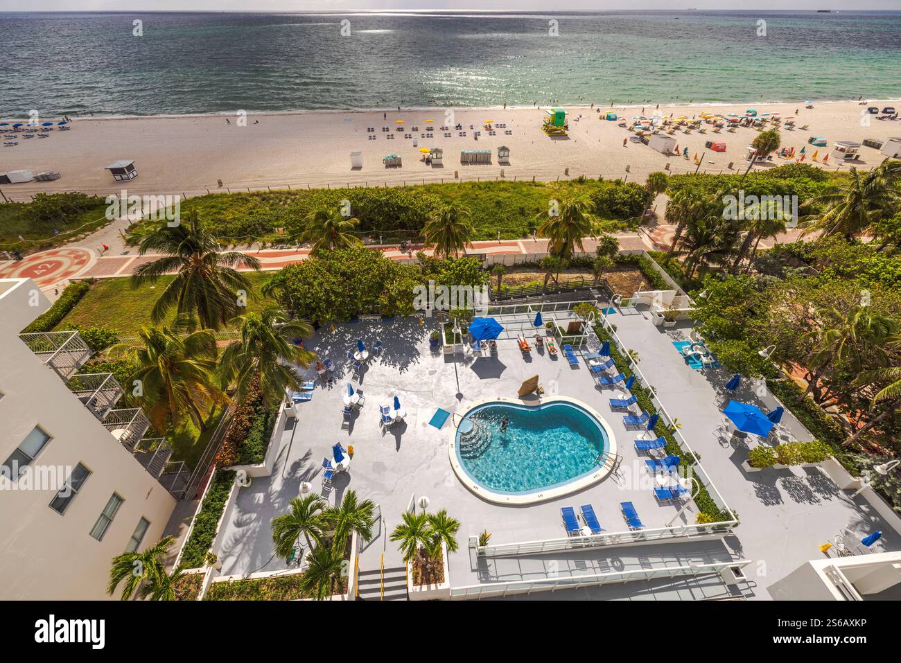 Hotel pool area with blue sun loungers and umbrellas overlooking ...