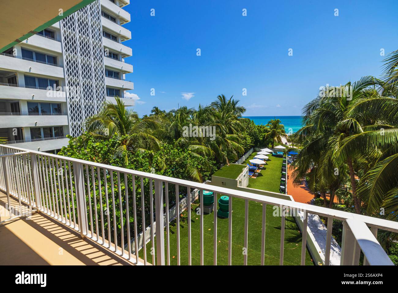 Scenic view from hotel balcony overlooking green palm trees tropical ...