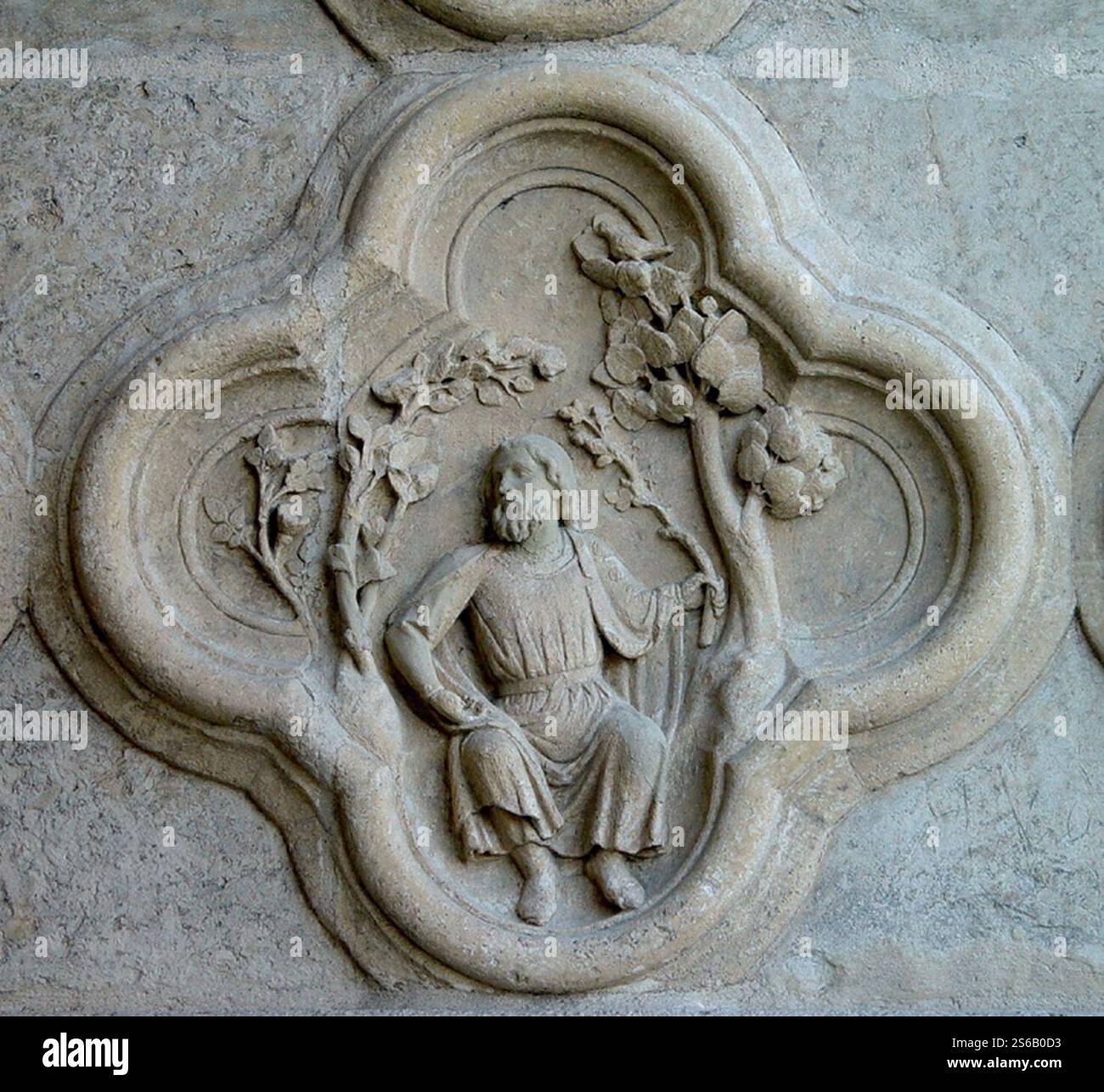 Garden in Spring - Vanderbilt ACT - 00001283 Stock Photo - Alamy