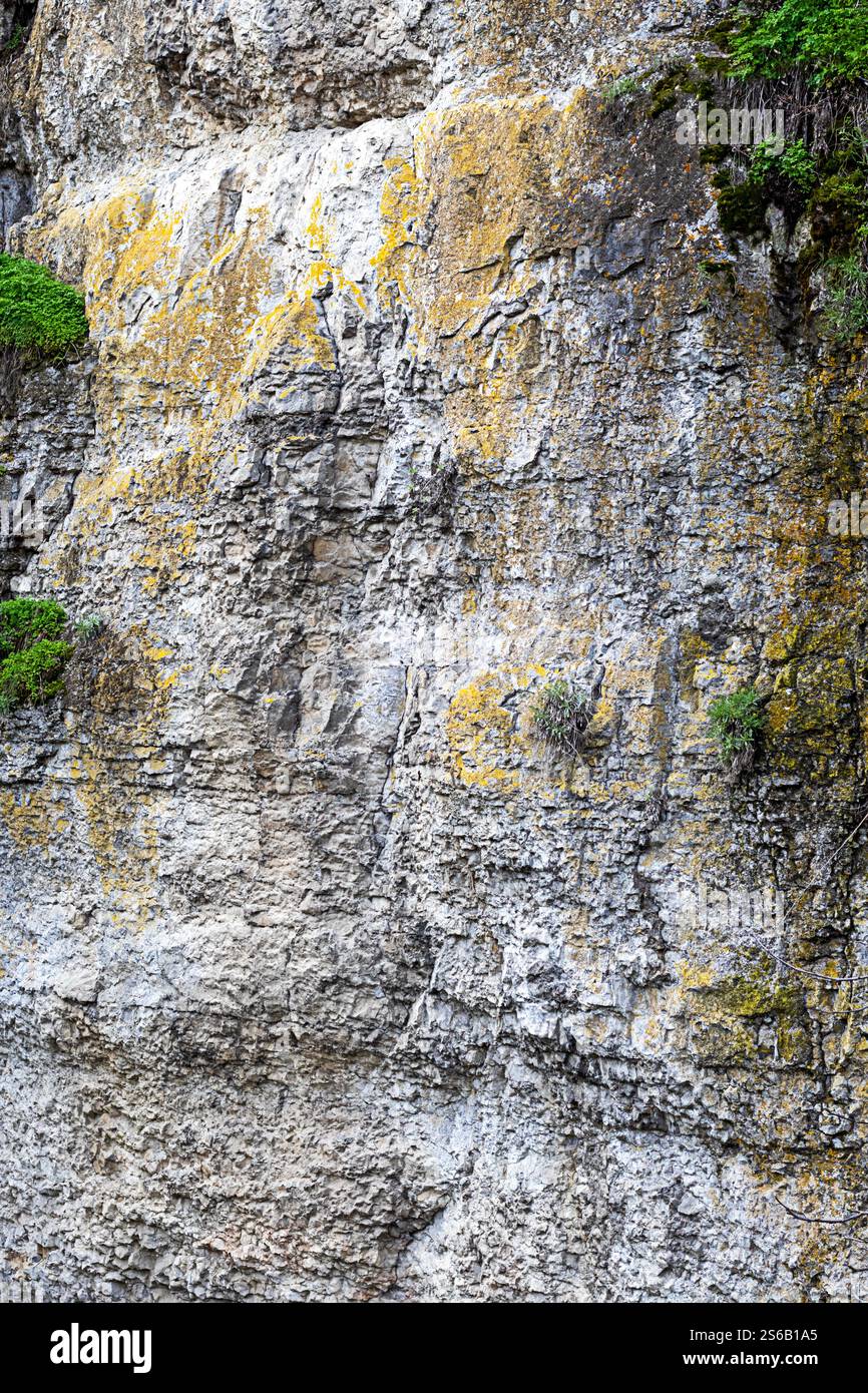 Textured rocky cliff face featuring vibrant green vegetation and ...