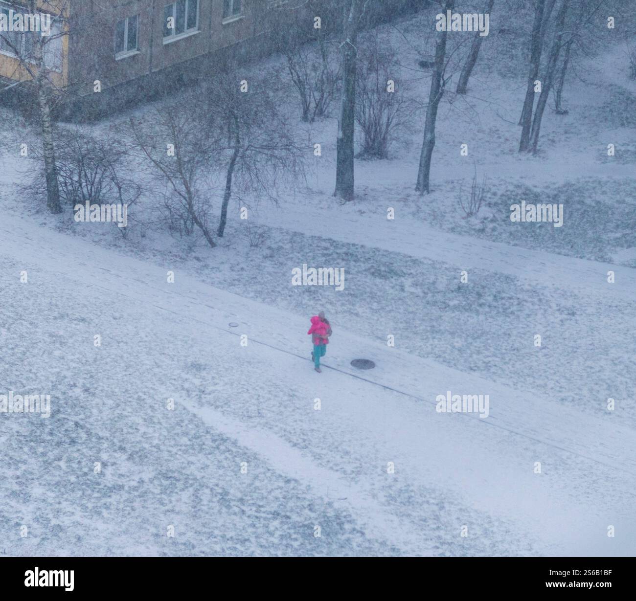 Person walks and carries the baby during heavy snowfall Stock Photo - Alamy