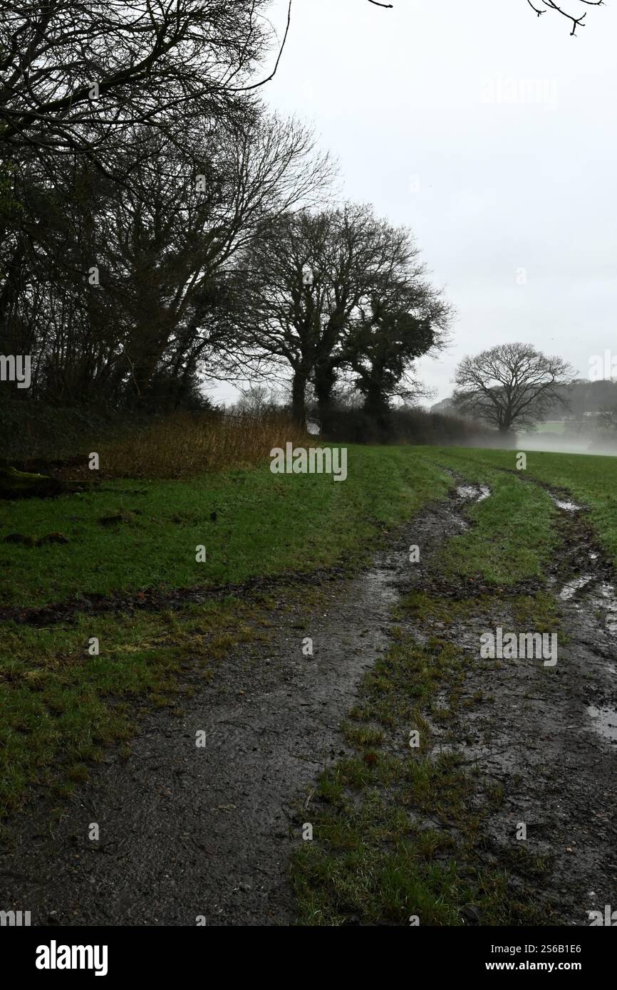 Typical english countryside hi-res stock photography and images - Alamy