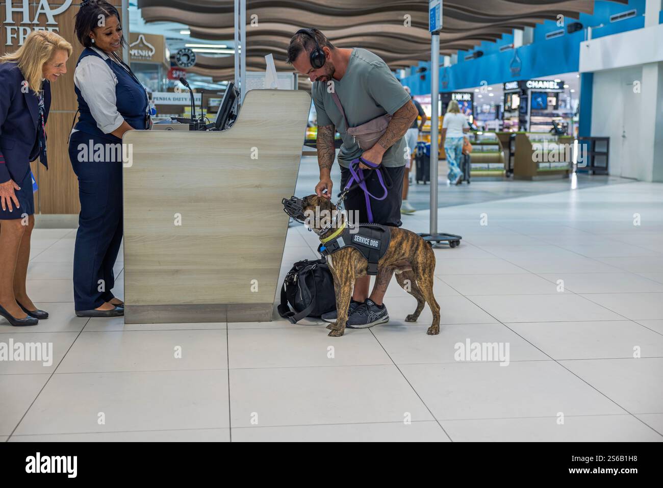 Man with service dog interacting with airport staff at check-in counter ...