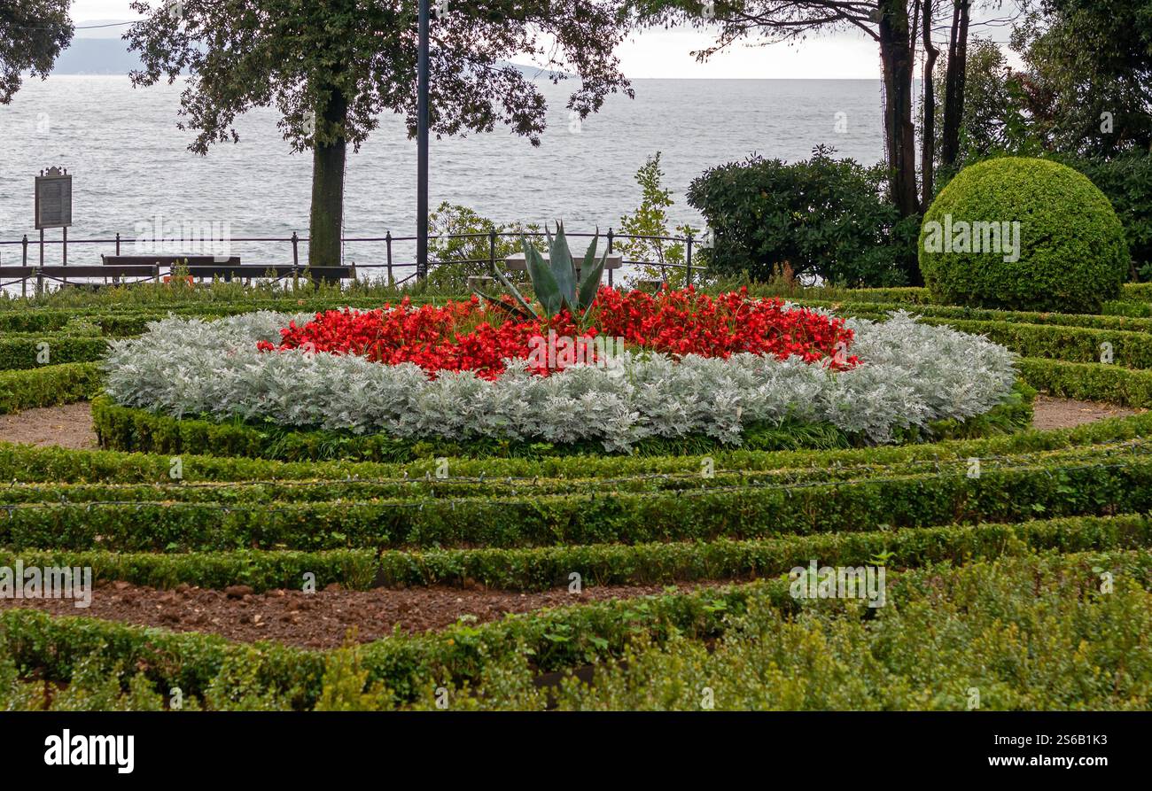 Green bushes other plants hi-res stock photography and images - Alamy