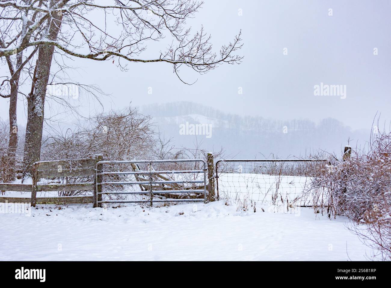 Country farm scene in winter with fence Stock Photo - Alamy