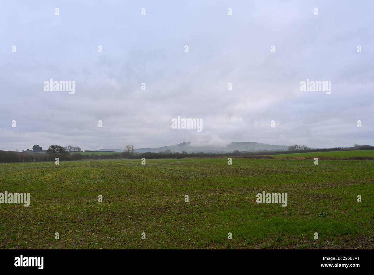 Beautiful green fields england hi-res stock photography and images - Alamy