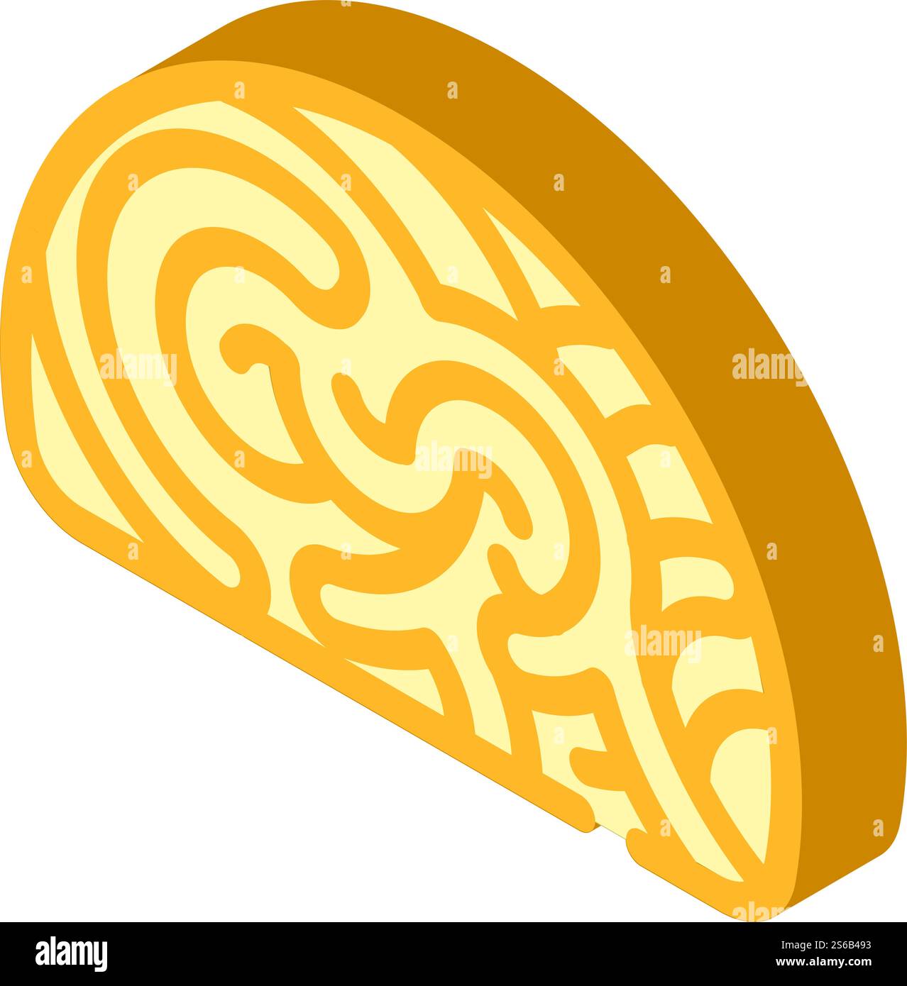 marine shell isometric icon vector. marine shell sign. isolated symbol ...