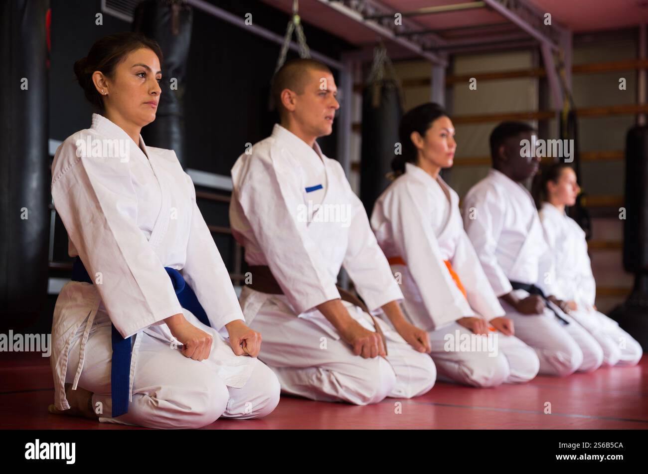 Men and women in kimono kneeling during karate training Stock Photo - Alamy