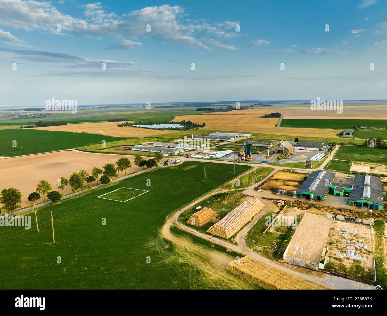 Countryside farming surrounded by planted fields with crops Stock Photo ...