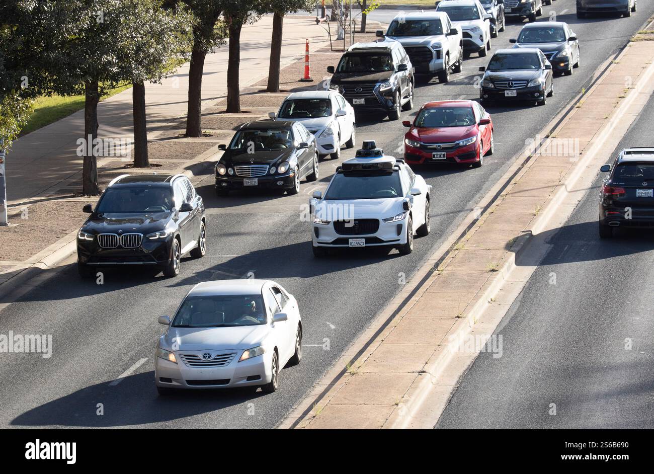 Austin, Tx, USA. 19th Dec, 2024. The Waymo self-driving cars -- mostly ...