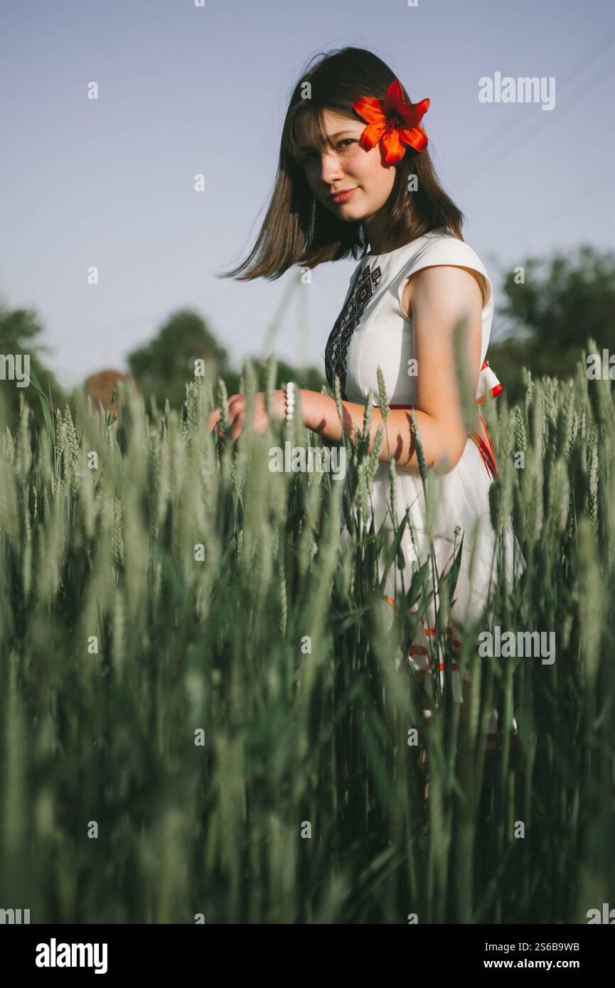 Ukrainian gird in a wheat field Stock Photo - Alamy