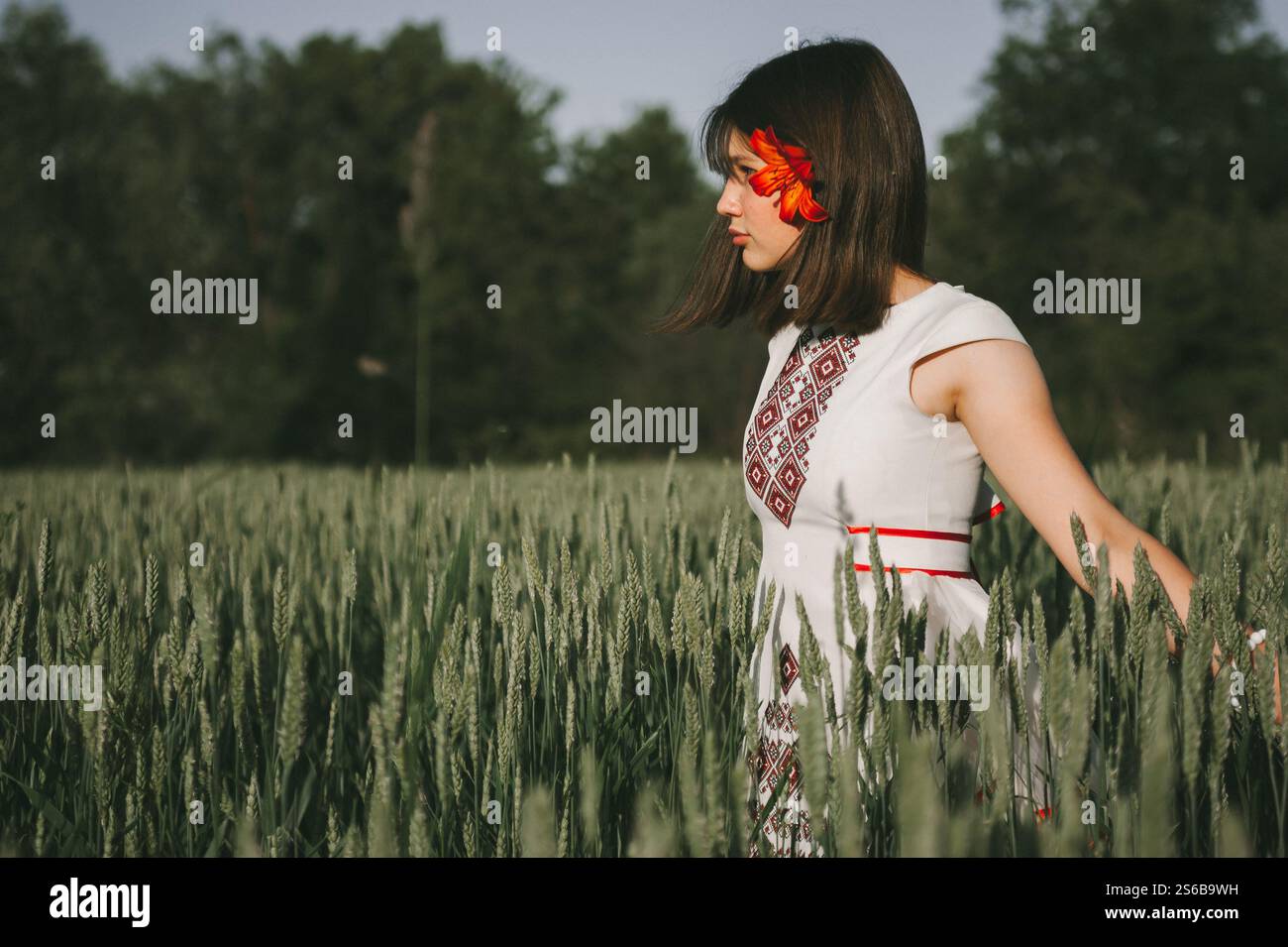 Ukrainian gird in a wheat field Stock Photo - Alamy