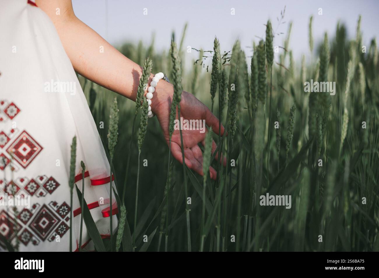 Ukrainian gird in a wheat field Stock Photo - Alamy
