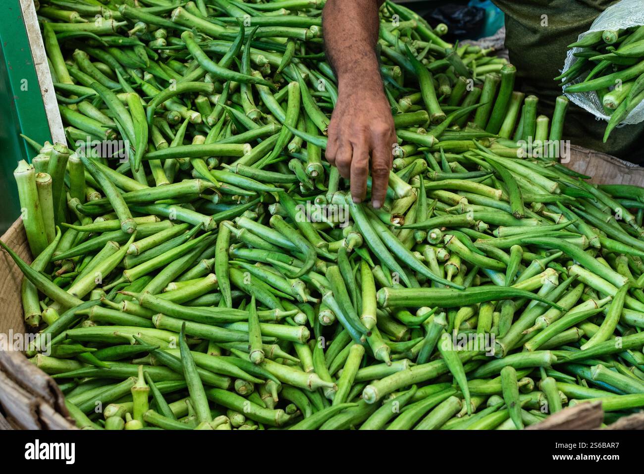 Hand of a vendor picking okra in a basket. Fruits that have seeds ...