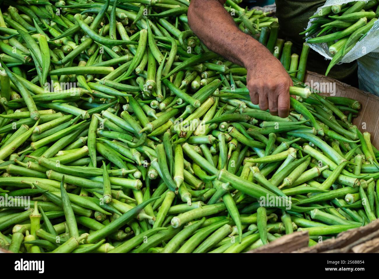 Hand of a vendor picking okra in a basket. Fruits that have seeds ...