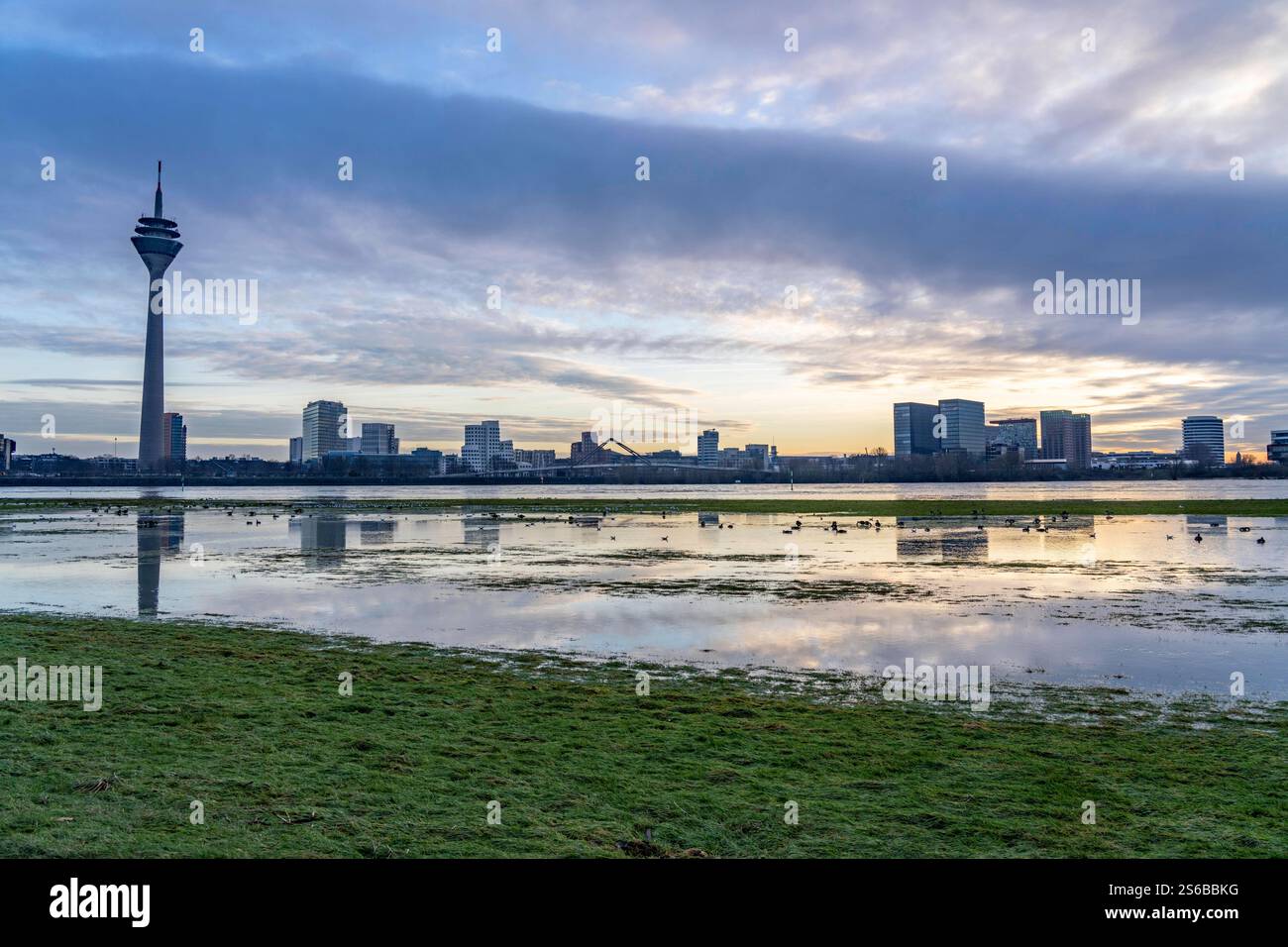 Blick über den Rhein bei Düsseldorf, Medienhafen, von den Rheinwiesen ...