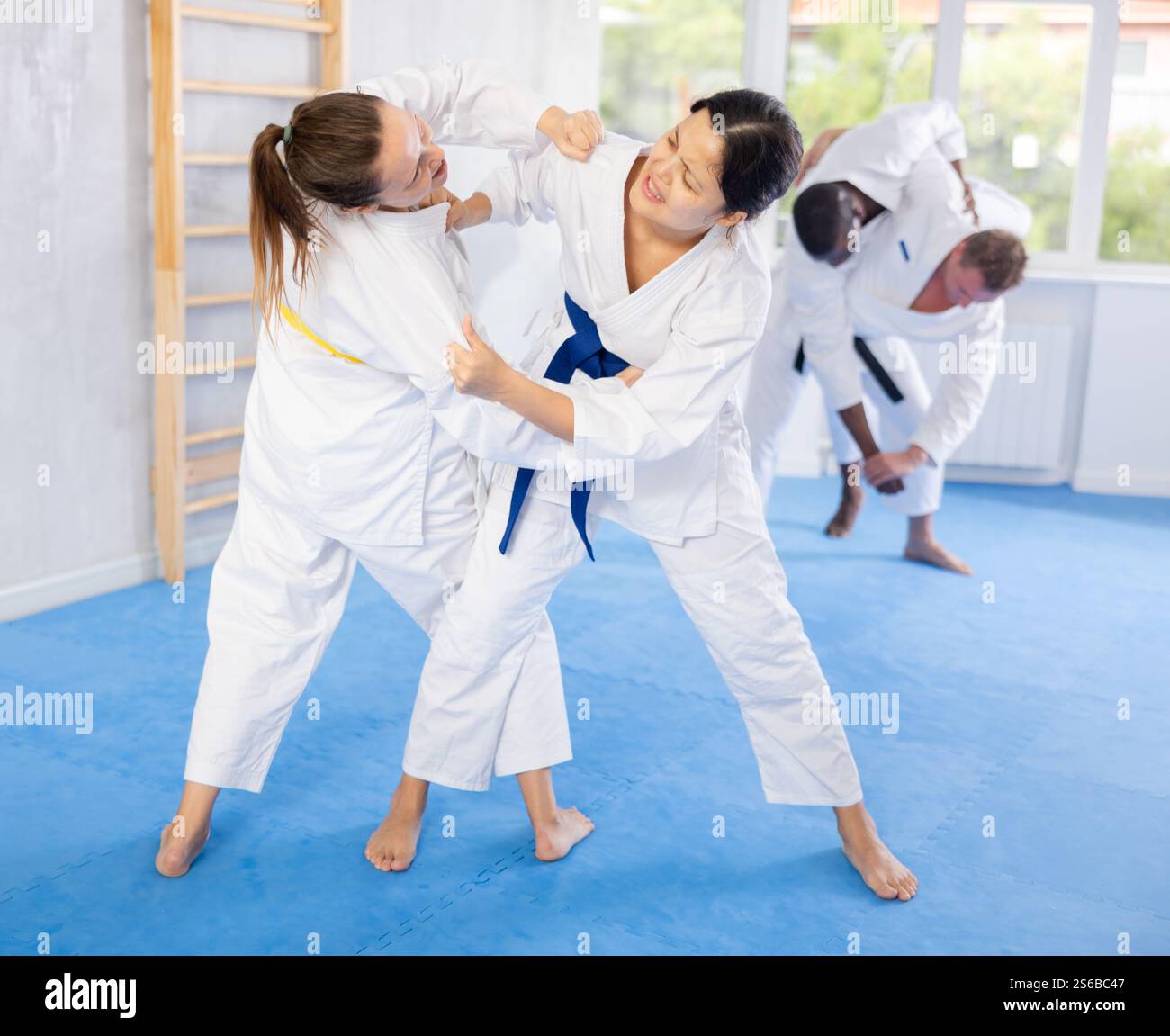 Adult and young women training judo techniques Stock Photo - Alamy