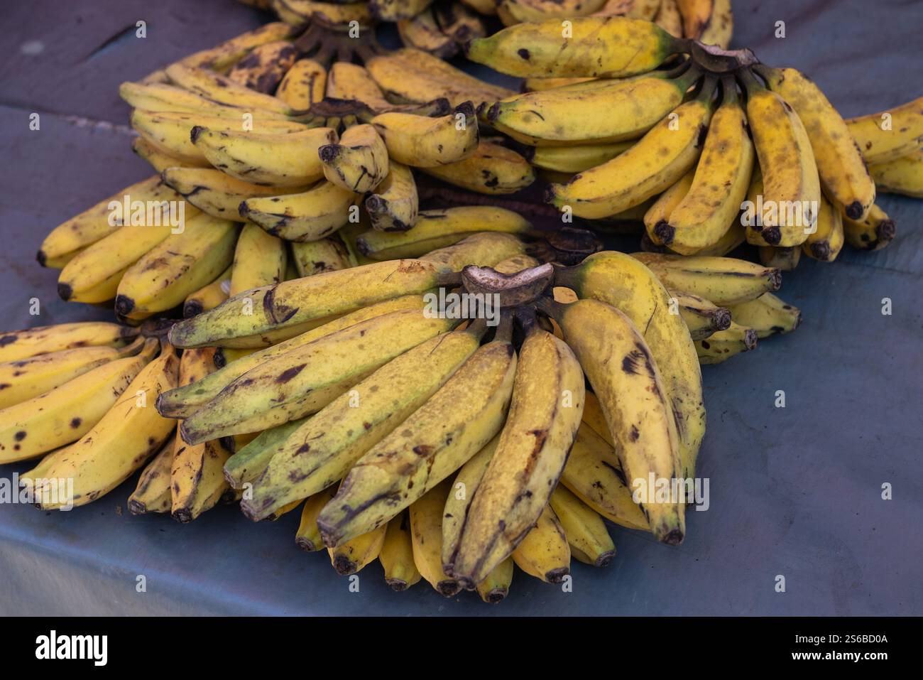 Ripe bananas for sale. Fruit of the Musacea family rich in fiber and ...