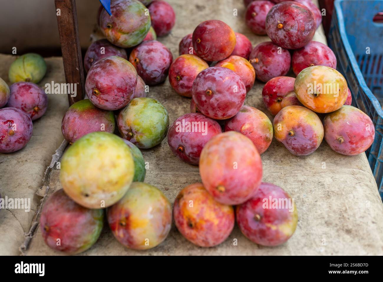Mangoes for sale at a market. Tropical, juicy, aromatic and nutritious ...