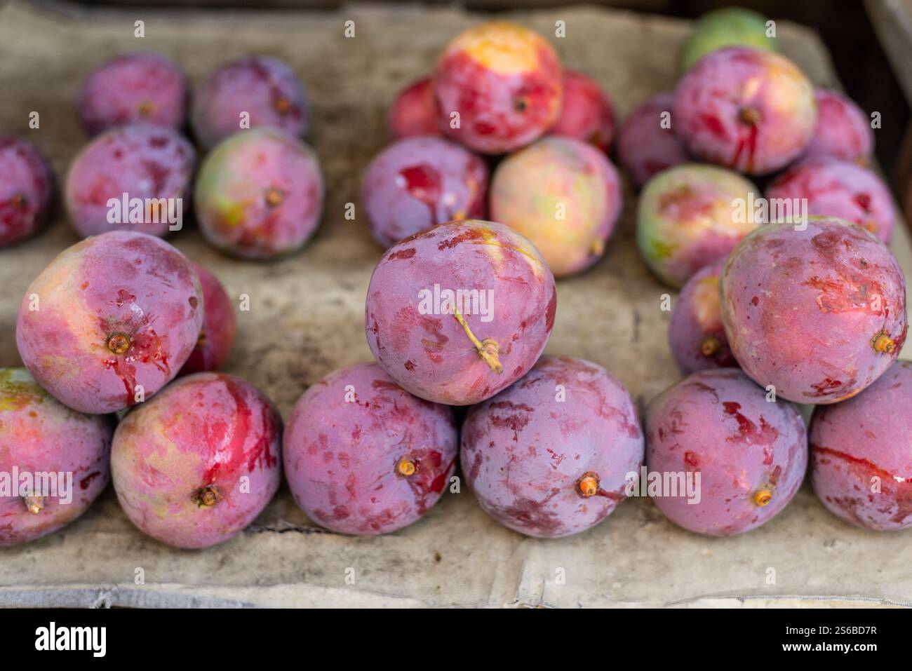 Mangoes for sale at a market. Tropical, juicy, aromatic and nutritious ...