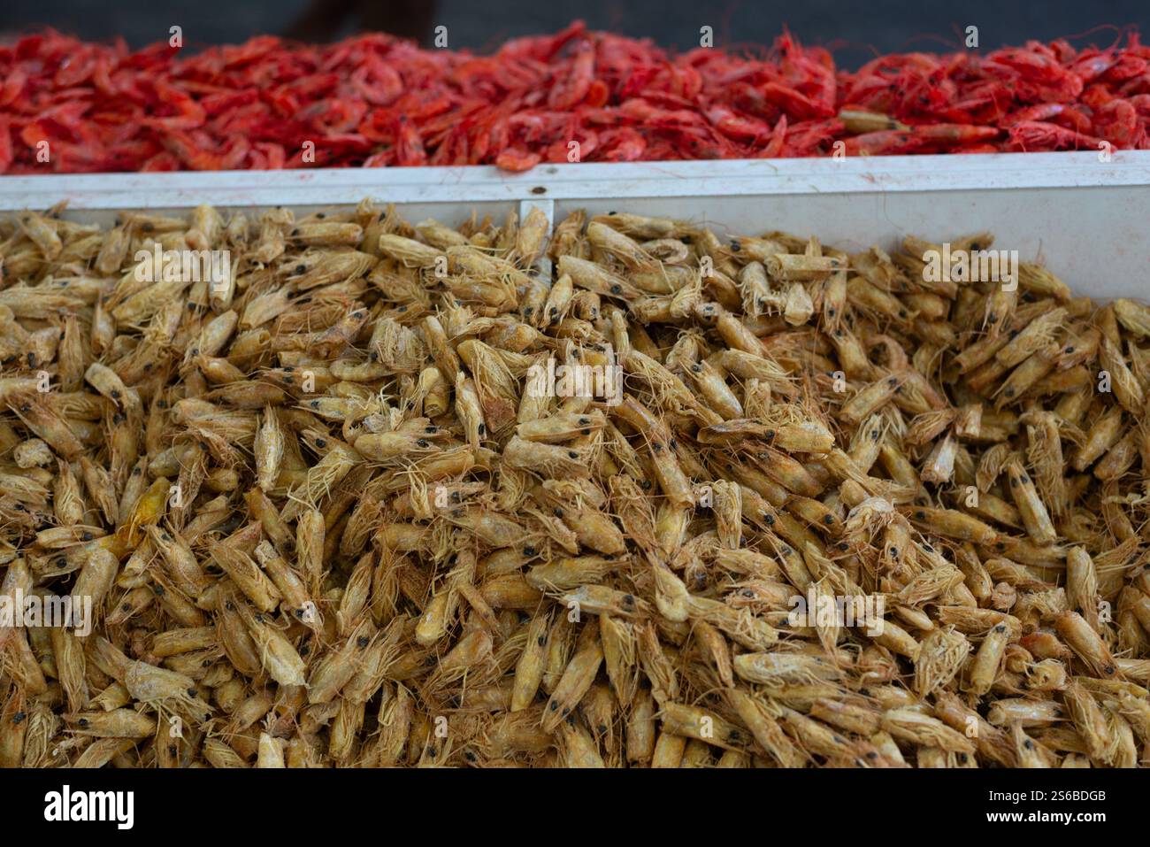 Dried shrimp for sale at a stand. Crustacean rich in protein, omega 3 ...