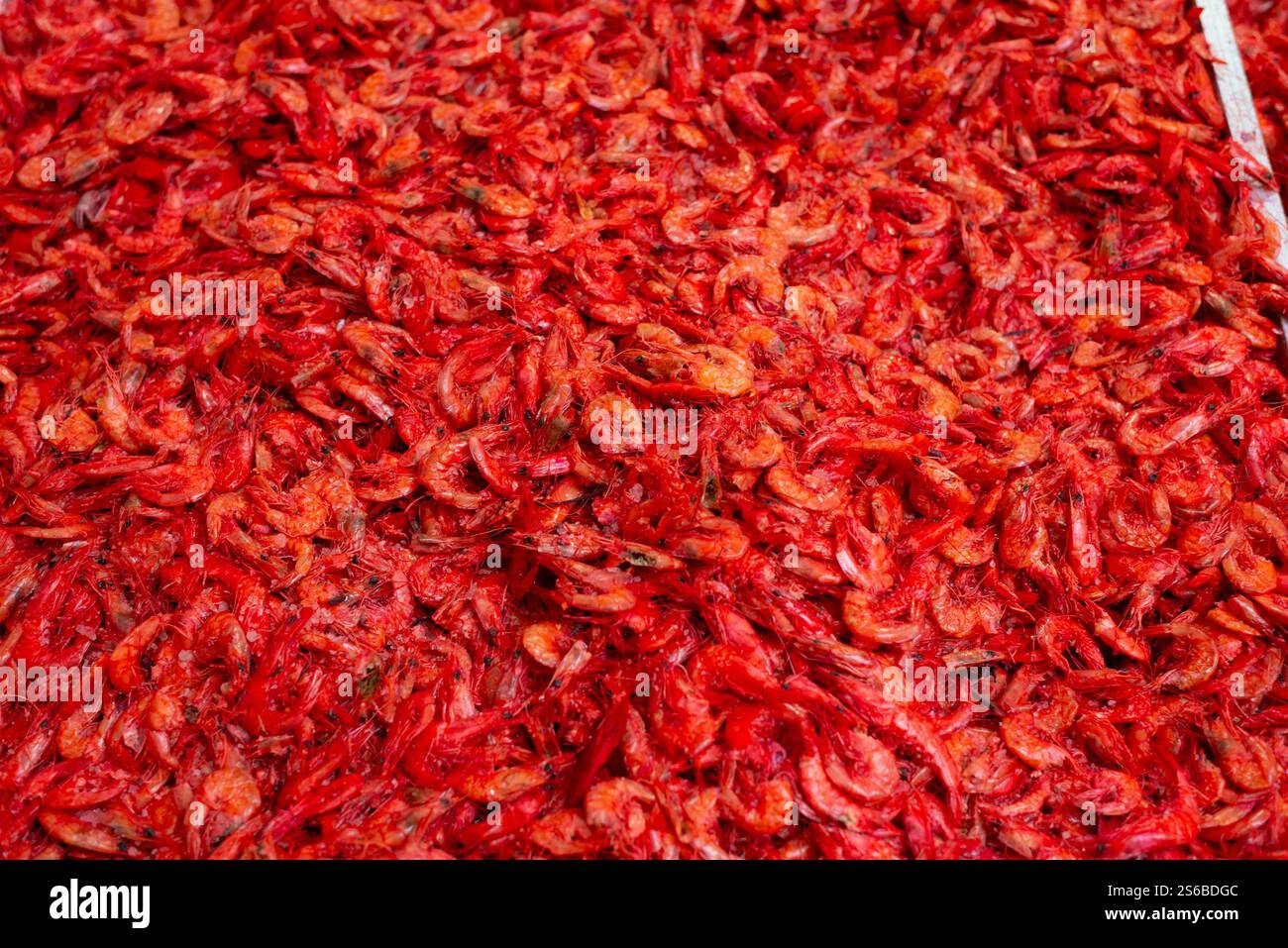 Dried shrimp for sale at a stand. Crustacean rich in protein, omega 3 ...